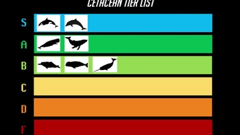 Whale | Tier Zoo Wiki | Fandom