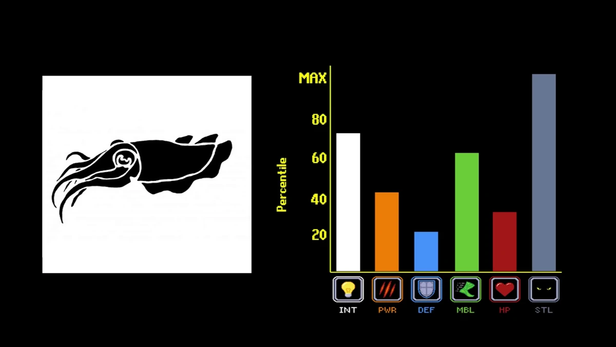 Cuttlefish | Tier Zoo Wiki | Fandom