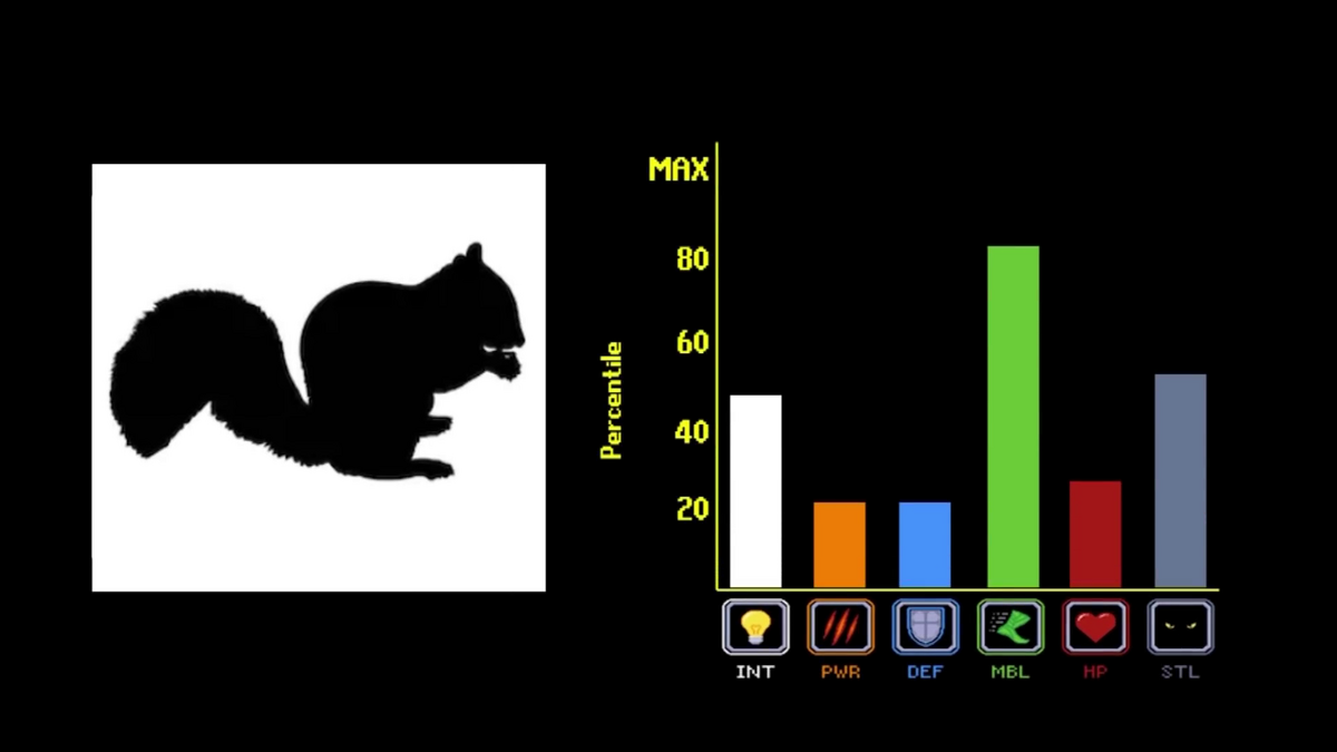 Squirrel | Tier Zoo Wiki | Fandom
