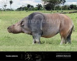 Toxodon | Tier Zoo Wiki | Fandom