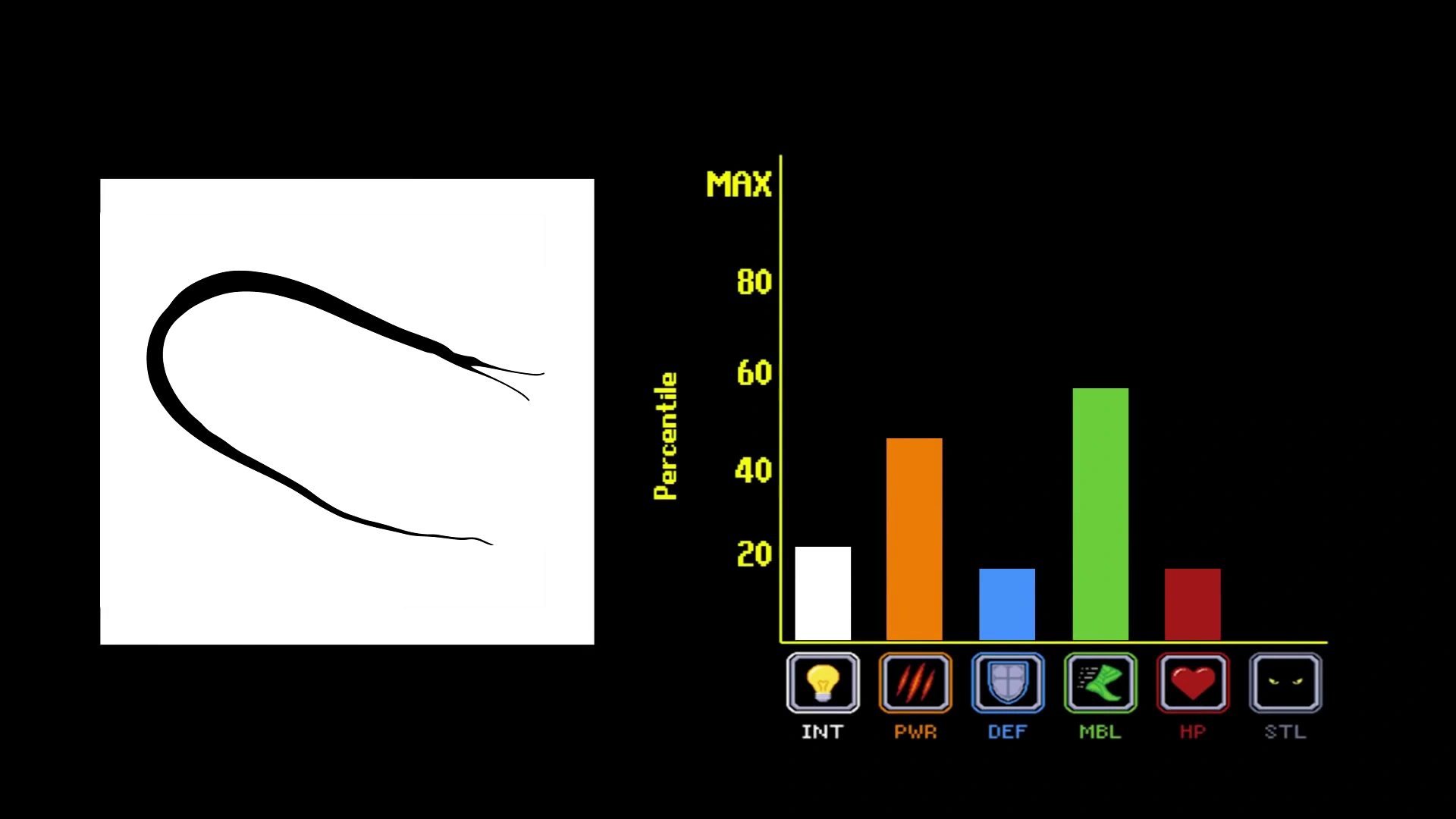 Slender Snipe Eel | Tier Zoo Wiki | Fandom
