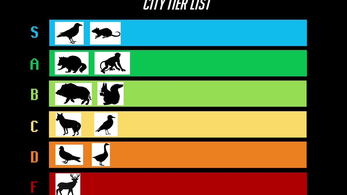 City | Tier Zoo Wiki | Fandom