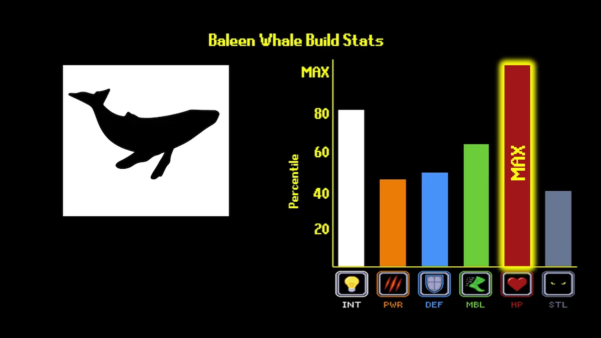 Baleen Whale | Tier Zoo Wiki | Fandom