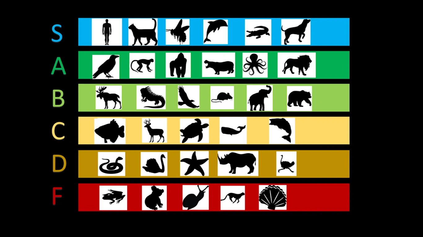 What's the most dangerous wild animal you think you could take in a ...