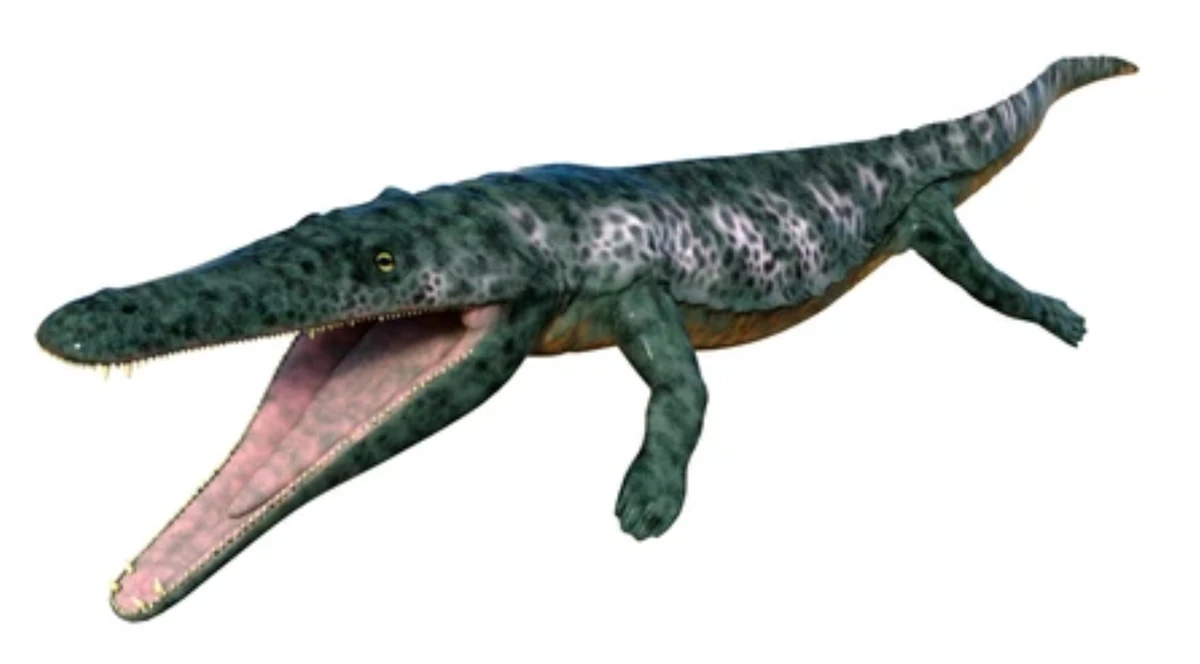 Labyrinthodontia | Tier Zoo Wiki | Fandom