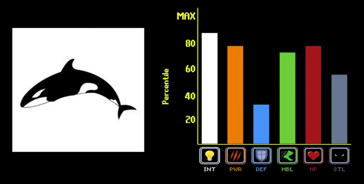 Orca | Tier Zoo Wiki | Fandom