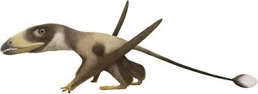 Dimorphodon | Tier Zoo Wiki | Fandom