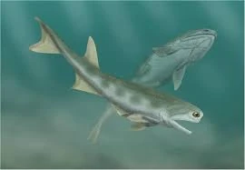 Cheirolepis | Tier Zoo Wiki | Fandom