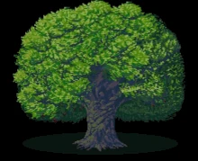 Tree | Tier Zoo Wiki | Fandom