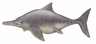 Ophthalmosaurus | Tier Zoo Wiki | Fandom