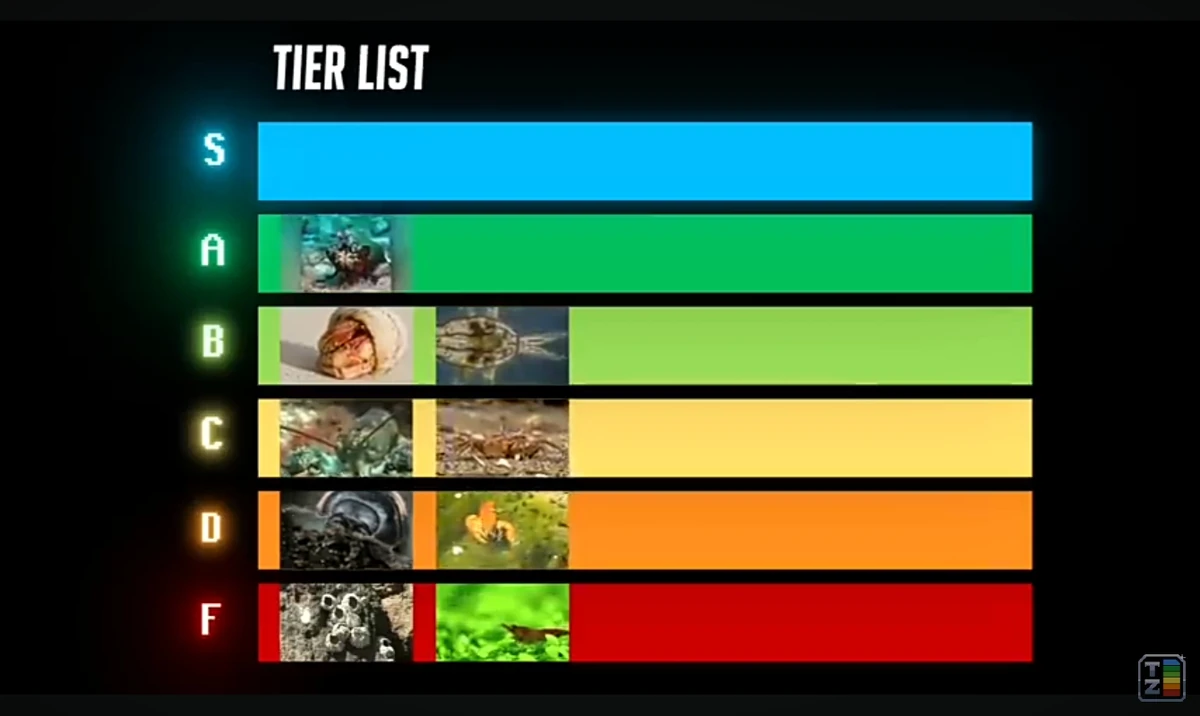 Crustacean Tier List | Tier Zoo Wiki | Fandom