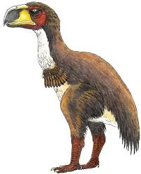 Brontornis | Tier Zoo Wiki | Fandom