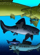 Placoderm | Tier Zoo Wiki | Fandom