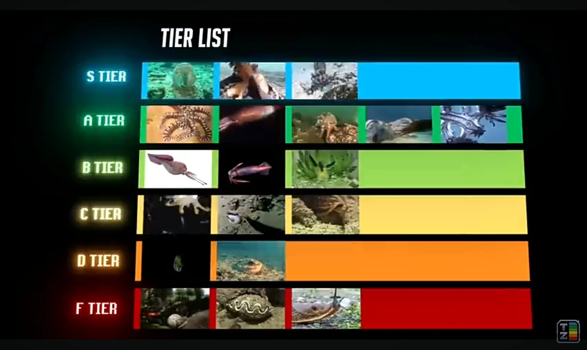 Mollusk Tier List | Tier Zoo Wiki | Fandom
