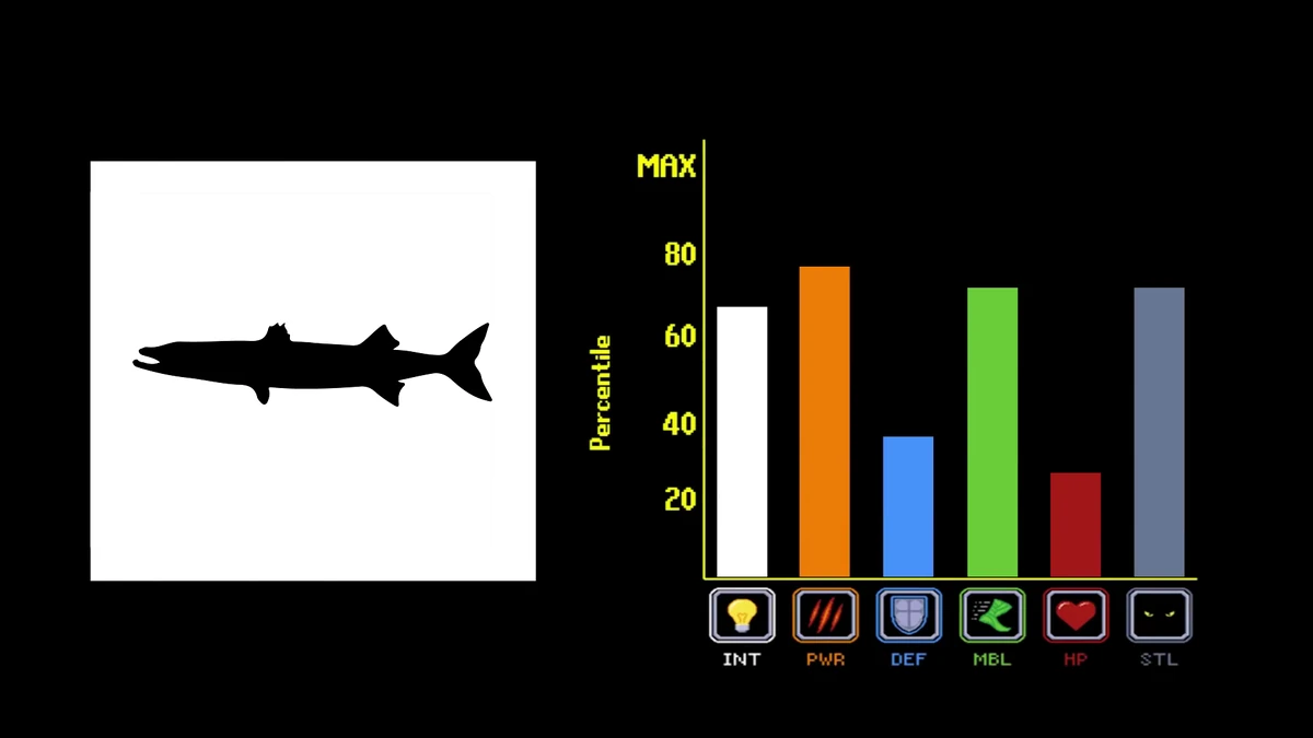 Barracuda | Tier Zoo Wiki | Fandom