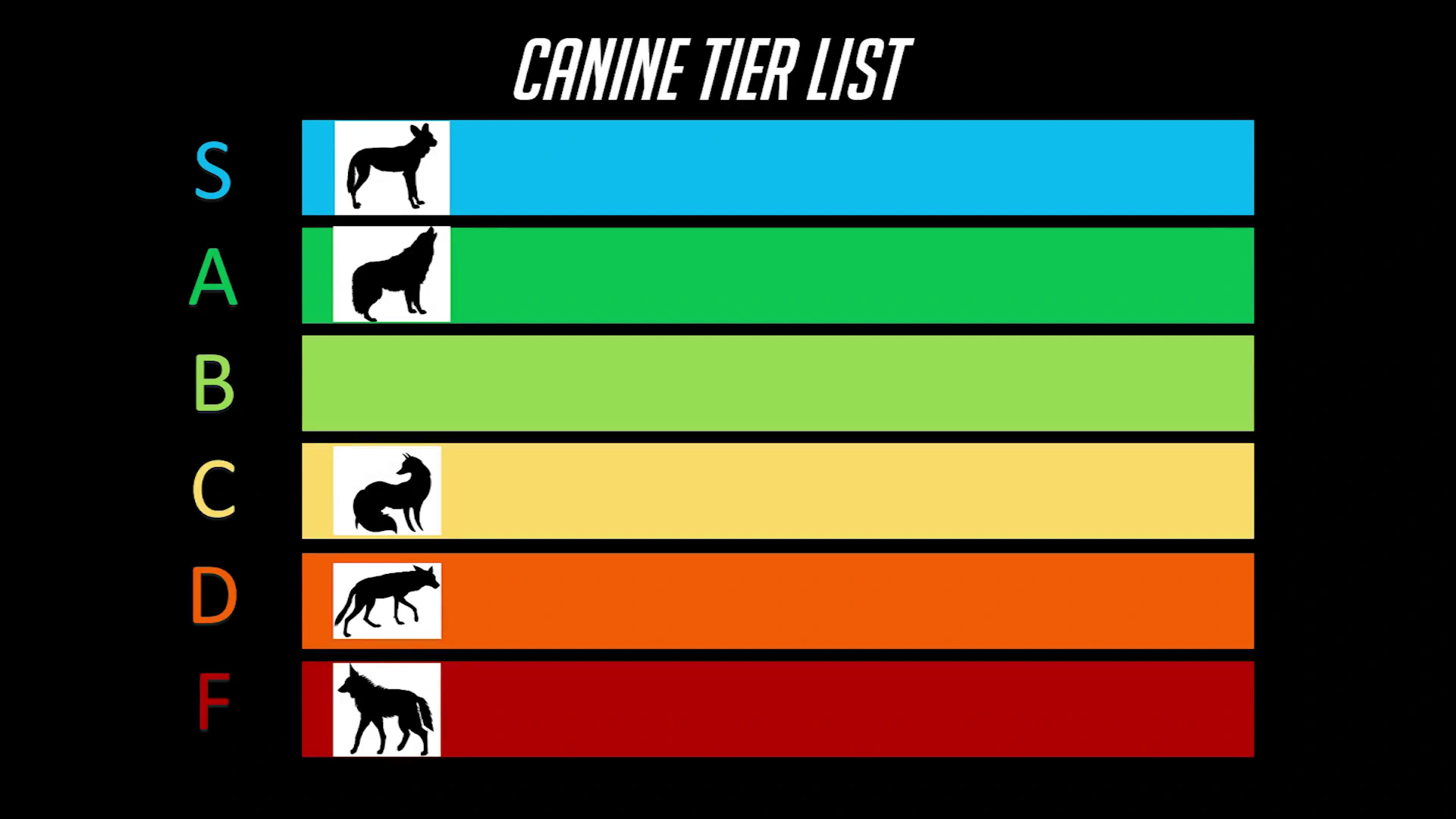 Dog | Tier Zoo Wiki | Fandom