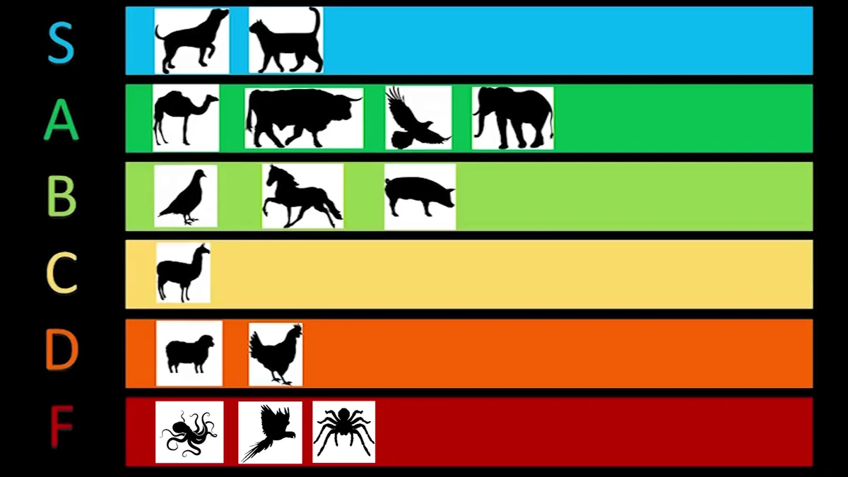 Category:Support | Tier Zoo Wiki | Fandom