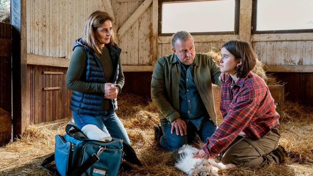 Luca Redmann | Tierärztin Dr. Mertens Wiki | Fandom