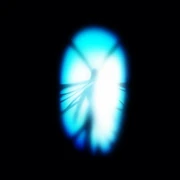 SCP-9812 | Tiering and Scaling Wiki | Fandom