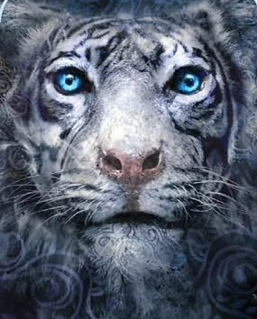 Ren | Tiger's Curse Wiki | Fandom