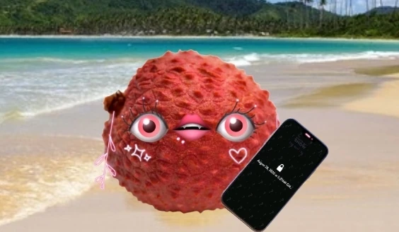 Lychee (@official-lychee-) | Elite TikTok Wiki | Fandom