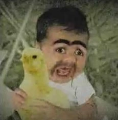 Chippy | Tim and Eric Wiki, Great Job! | Fandom