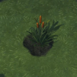 Cattail (Crop) | Timberborn Wiki | Fandom