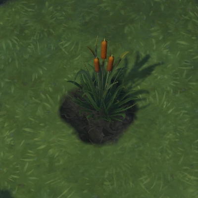 Cattail (Crop) | Timberborn Wiki | Fandom