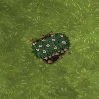 Potato (Crop) | Timberborn Wiki | Fandom