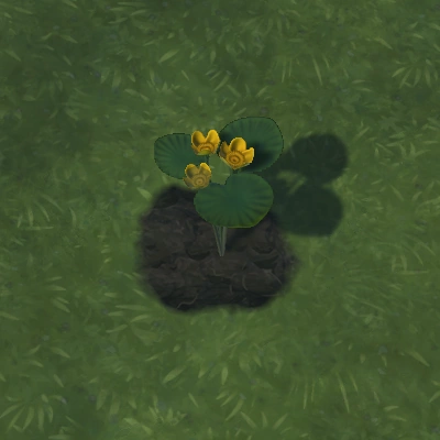 Spadderdock (Crop) | Timberborn Wiki | Fandom