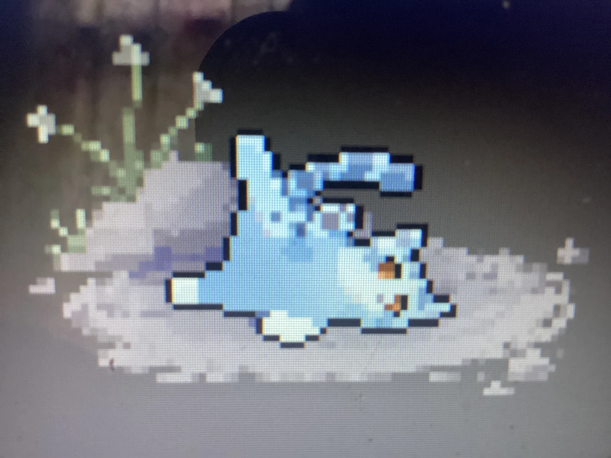 Amberpaw | TimberClan Wiki | Fandom