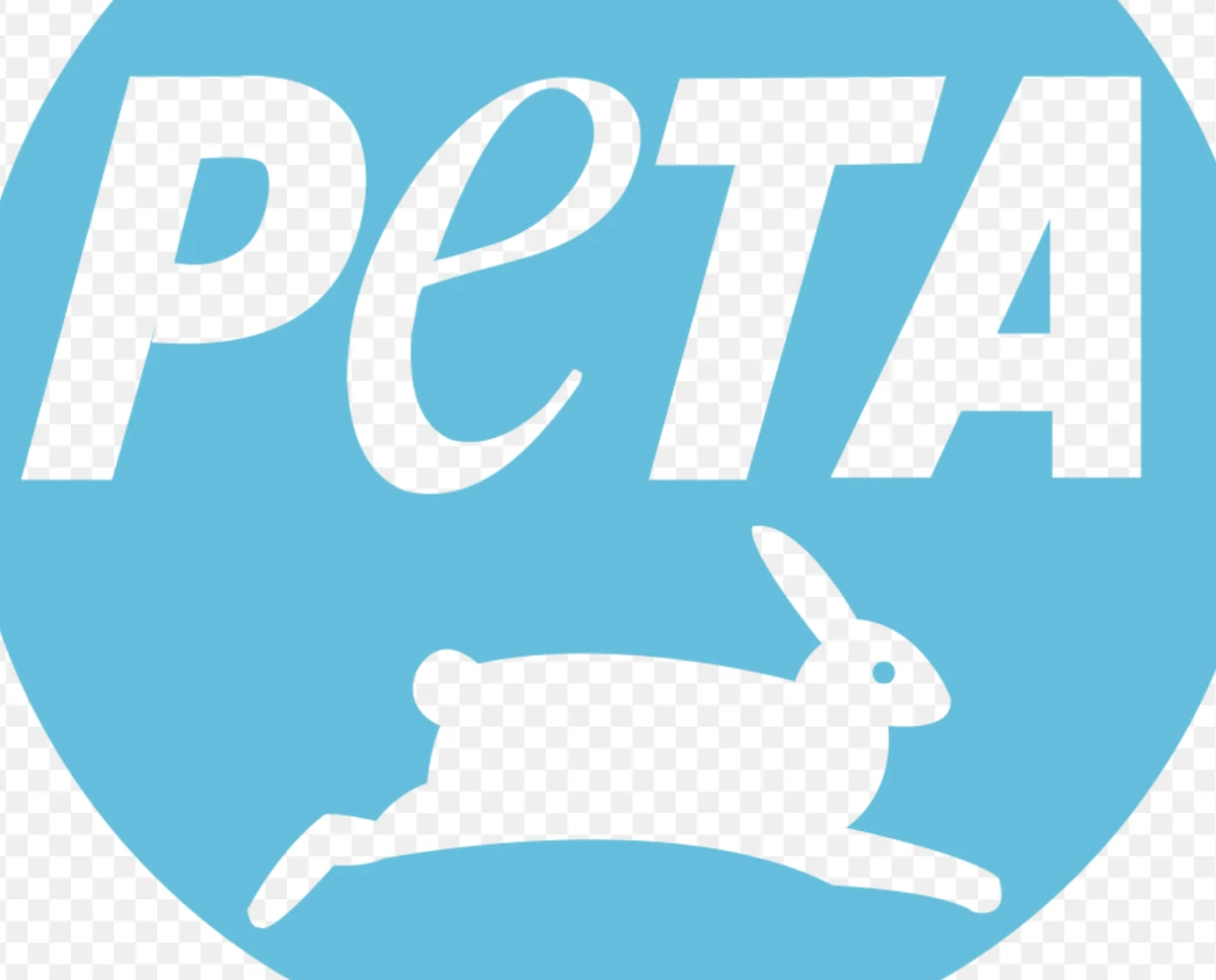 Peta needs to protect mavericks | Timbuctoo Wikia | Fandom