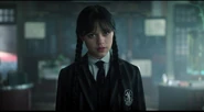 Wednesday Addams | Tim Burton Wiki | Fandom