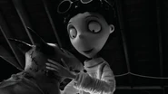 Sparky | Tim Burton Wiki | Fandom