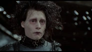 Edward | Tim Burton Wiki | Fandom