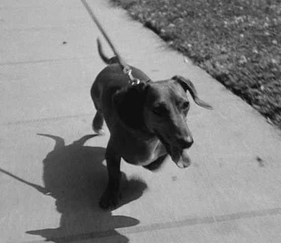 Raymond | Tim Burton Wiki | Fandom