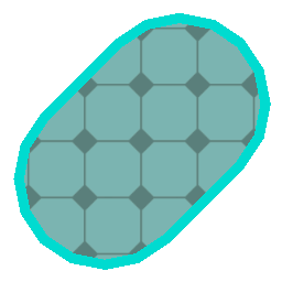 Riley | Time to Morp Wiki | Fandom
