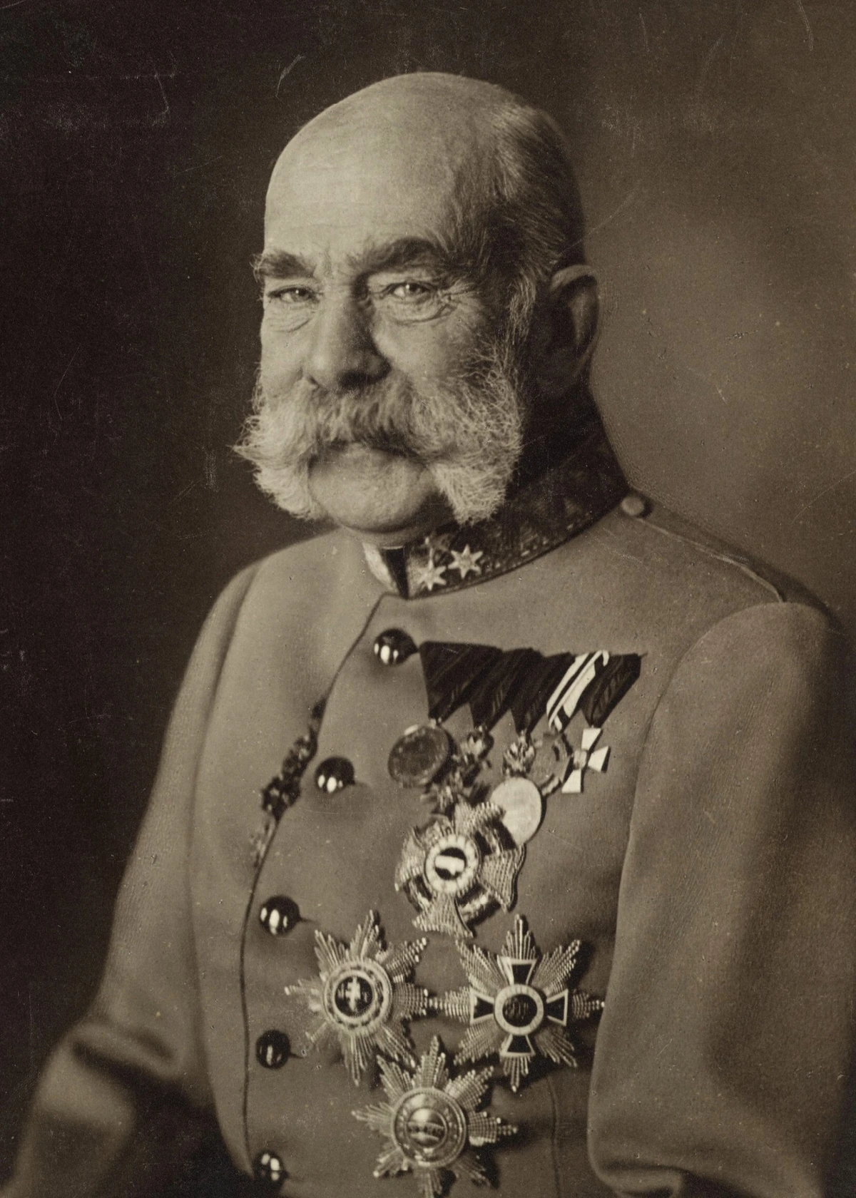 Franz Joseph I | Timeline of all games Wiki | Fandom