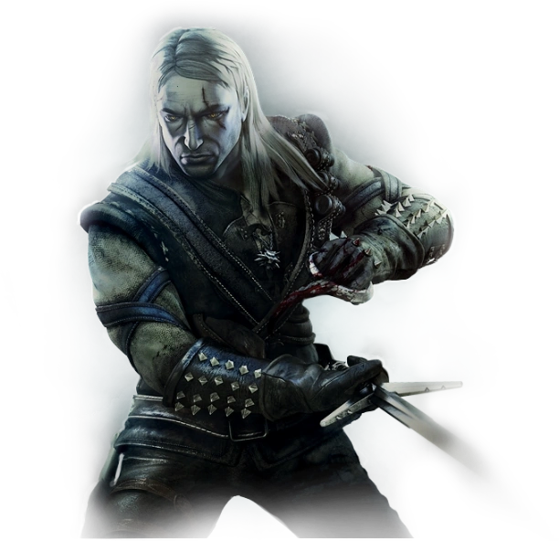 Witcher | Timeline of all games Wiki | Fandom