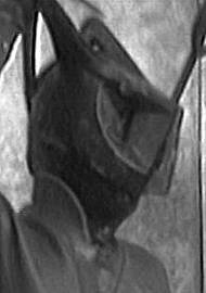 Voord | Timelord Wiki | Fandom