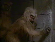 Wishbone | The Time Machine Wiki | Fandom