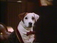 Wishbone | The Time Machine Wiki | Fandom