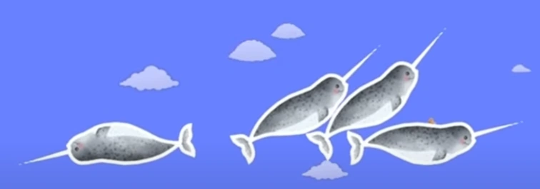 Narwals | Timilode On Wiki | Fandom