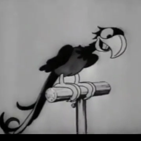 Unnamed Parrot | Timimations Official Wiki | Fandom