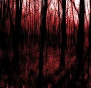 Timmy Failure | Timmy Failure Wiki | Fandom