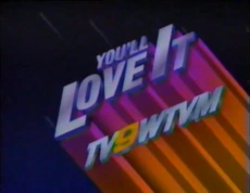 WTVM | Till I Met You Wikia | Fandom