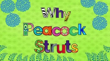 Why Peacock Struts | Tinga tinga tales Wiki | Fandom