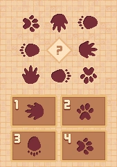 Lagoon | Tinker Island Wiki | Fandom