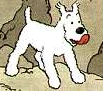 Snowy | Tintin Wiki | Fandom