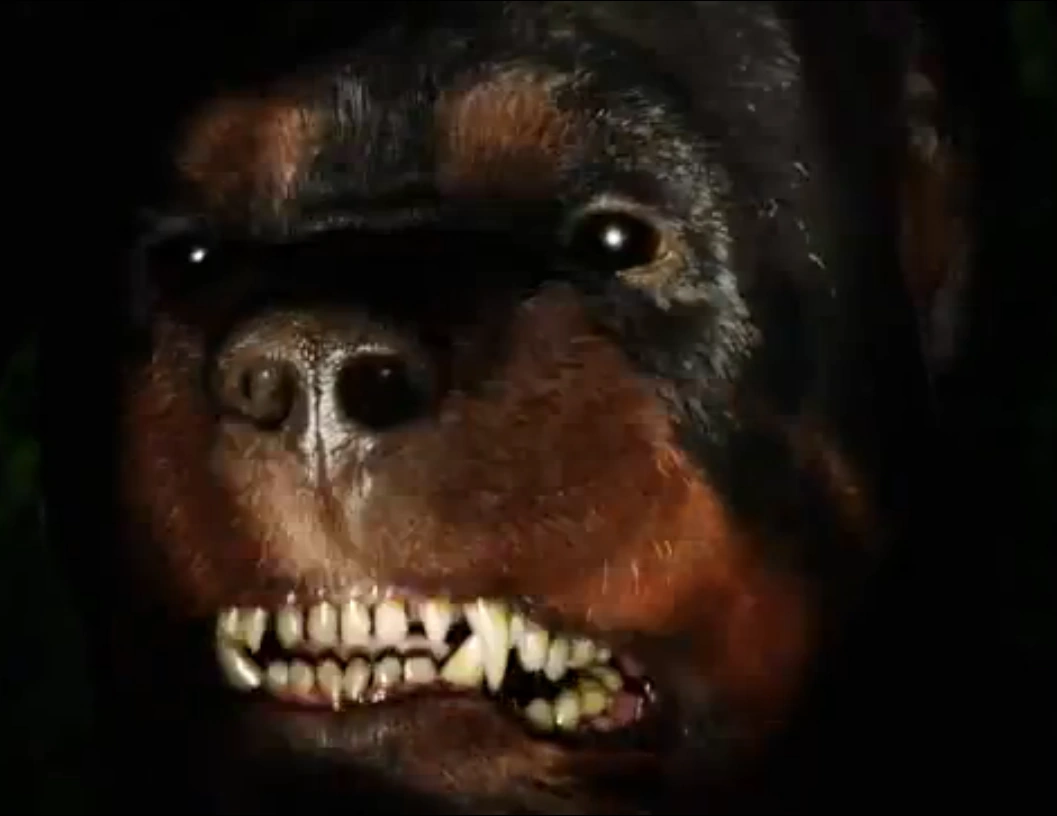 Hector | Tintin Wiki | Fandom